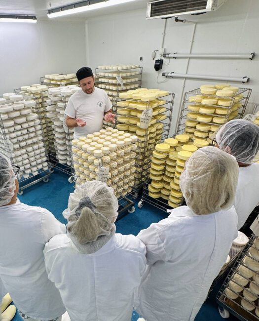 Shop – Village Maid Cheese